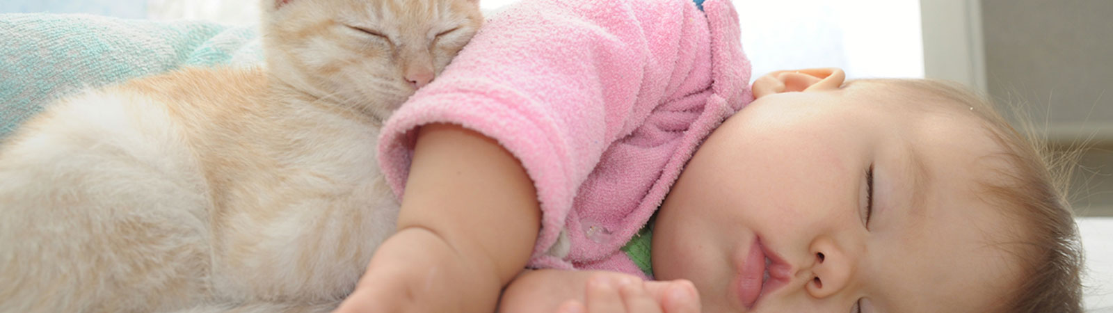 Wie Sie die Katze an Ihr Baby gewöhnen | Miamor